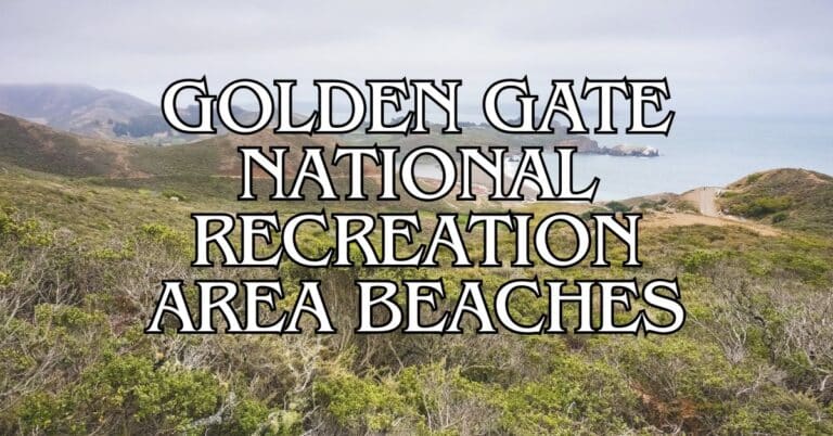 Marin County Beaches – Marin County Visitor