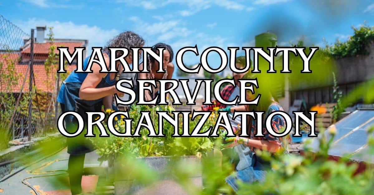 Community Action Marin: Empowering Change and Support in Local ...