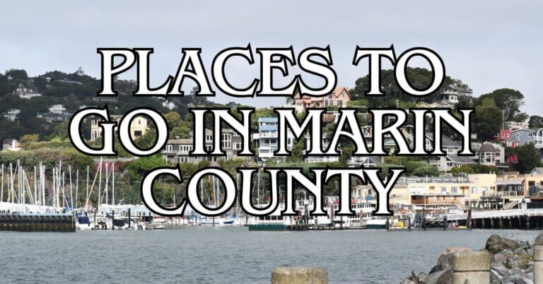 Marin County Free Library – Marin County Visitor