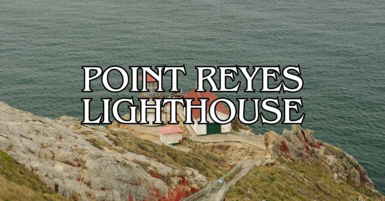 Point Reyes Lighthouse – Marin County Visitor