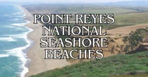 Marin County Beaches – Marin County Visitor