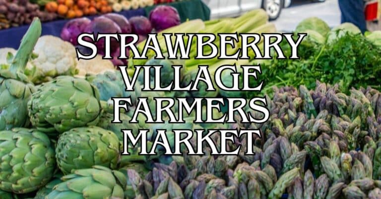 Sunday Marin Farmers’ Market – Marin County Visitor