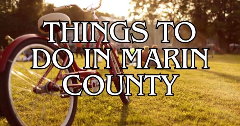 MARINet Libraries of Marin – Marin County Visitor