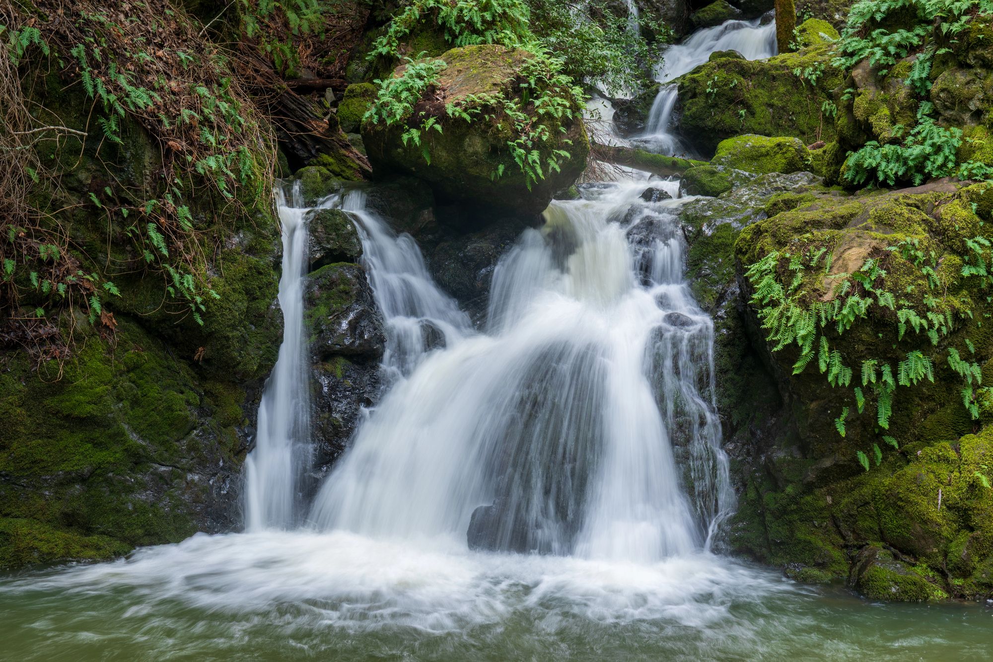 Visit Mill Valley, Marin County, California – Marin County Visitor