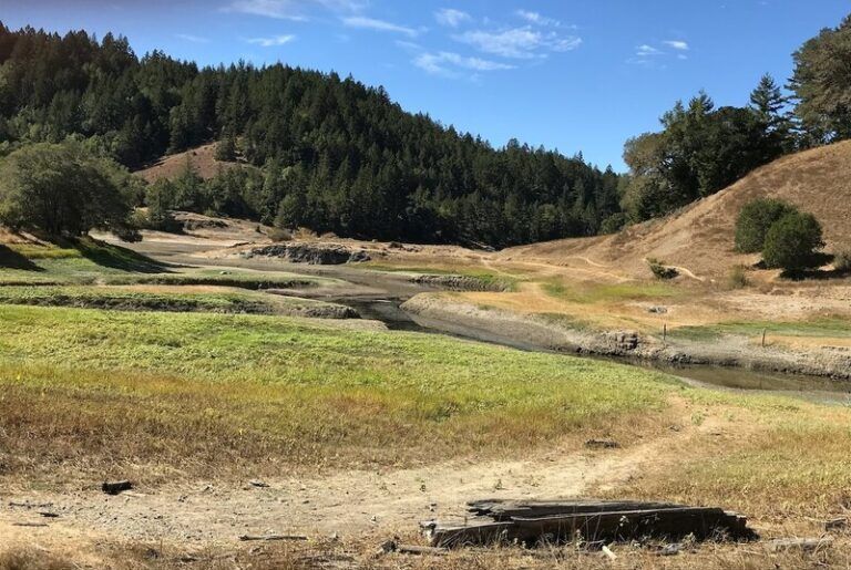 Best Marin County Mountain Biking Trails – Marin County Visitor