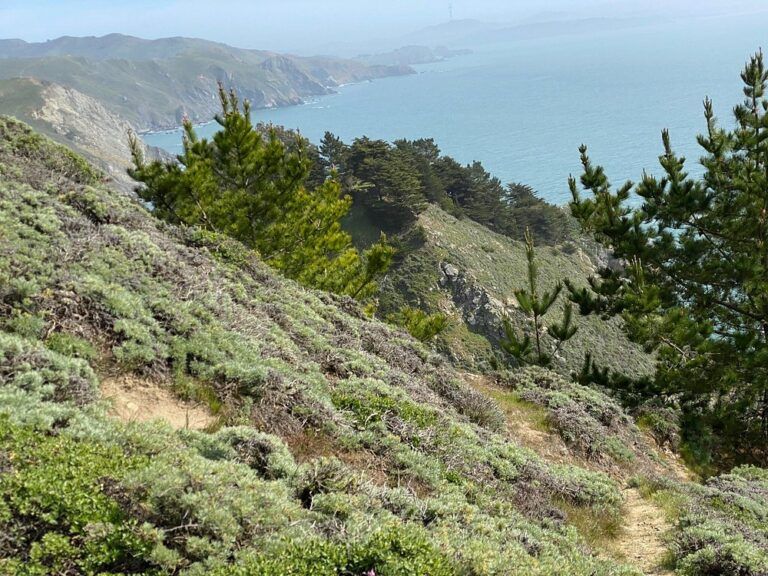 Best Marin County Mountain Biking Trails – Marin County Visitor