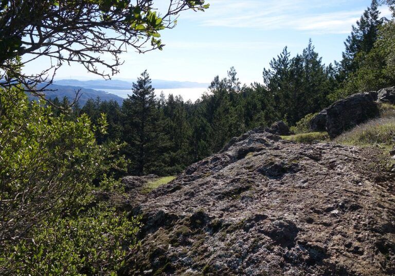 Best Hikes in Marin County – Marin County Visitor