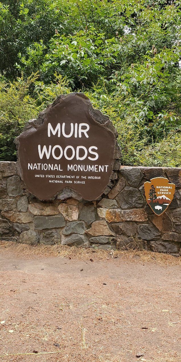 Muir Woods National Monument Travel Guide – Accessibility, Amenities ...