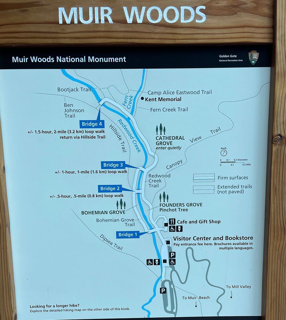 Muir Woods National Monument Travel Guide – Accessibility, Amenities ...