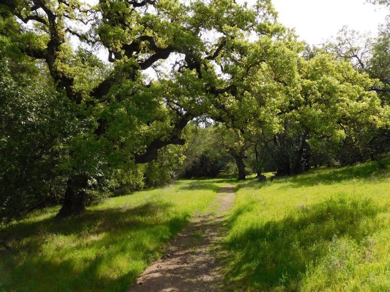 Visit Novato, Marin County, California – Marin County Visitor