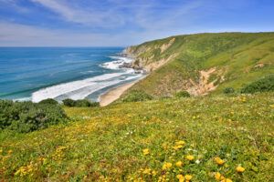Visit Point Reyes Station, Marin County, California – Marin County Visitor