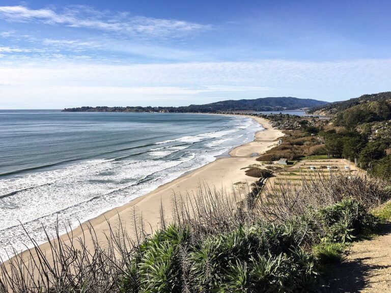 Things to Do in Marin County – Marin County Visitor