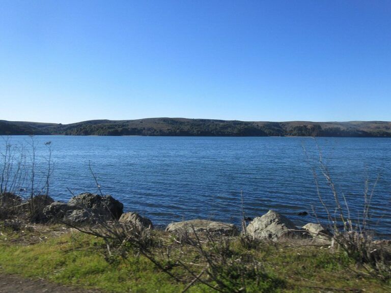 Visit Novato, Marin County, California – Marin County Visitor