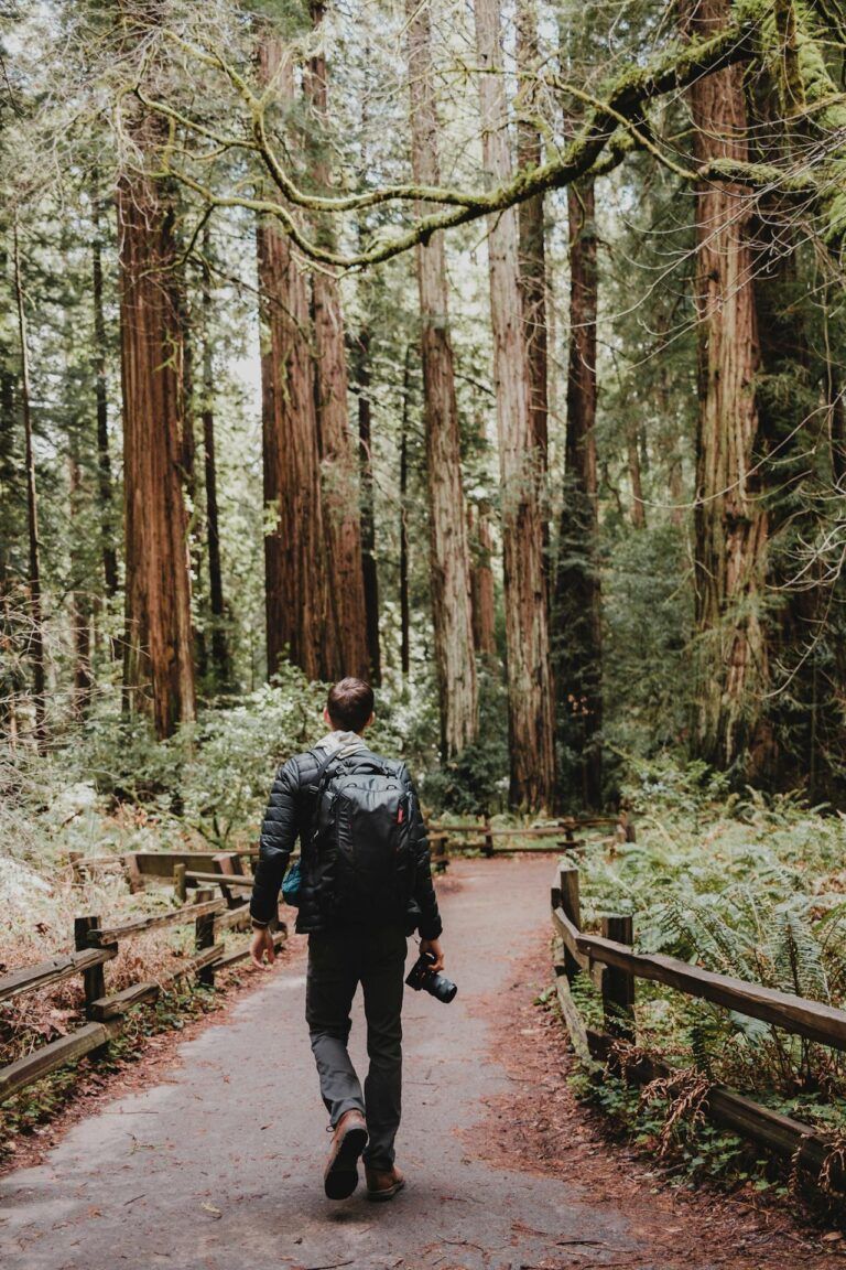 Things to Do in Marin County – Marin County Visitor