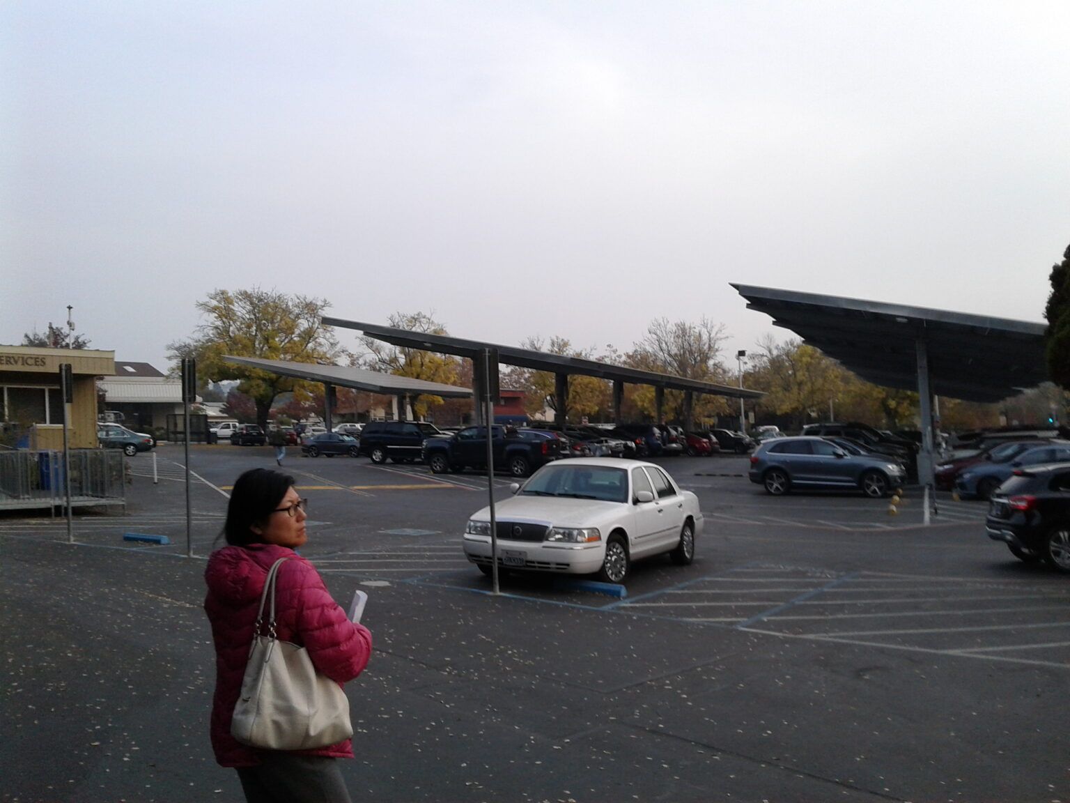 Visit Kentfield, Marin County, California – Marin County Visitor