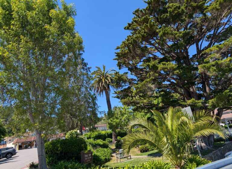 Visit Corte Madera, Marin County, California – Marin County Visitor