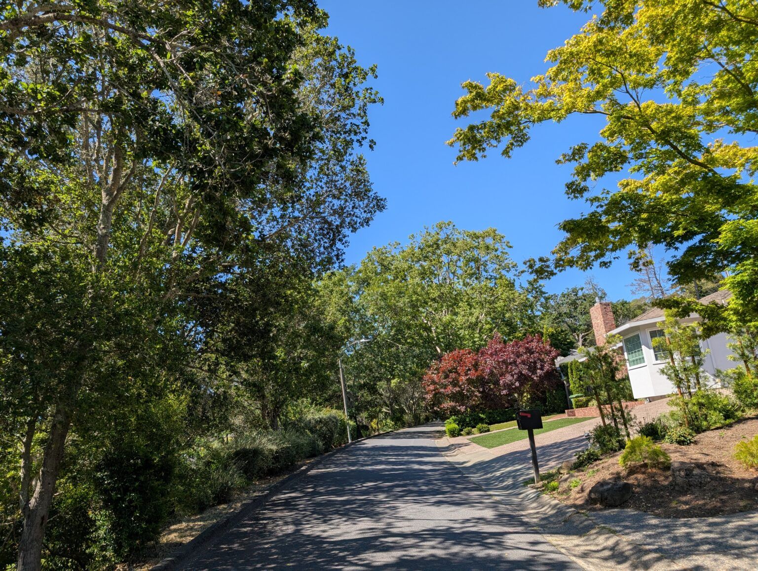 Visit Kentfield, Marin County, California – Marin County Visitor