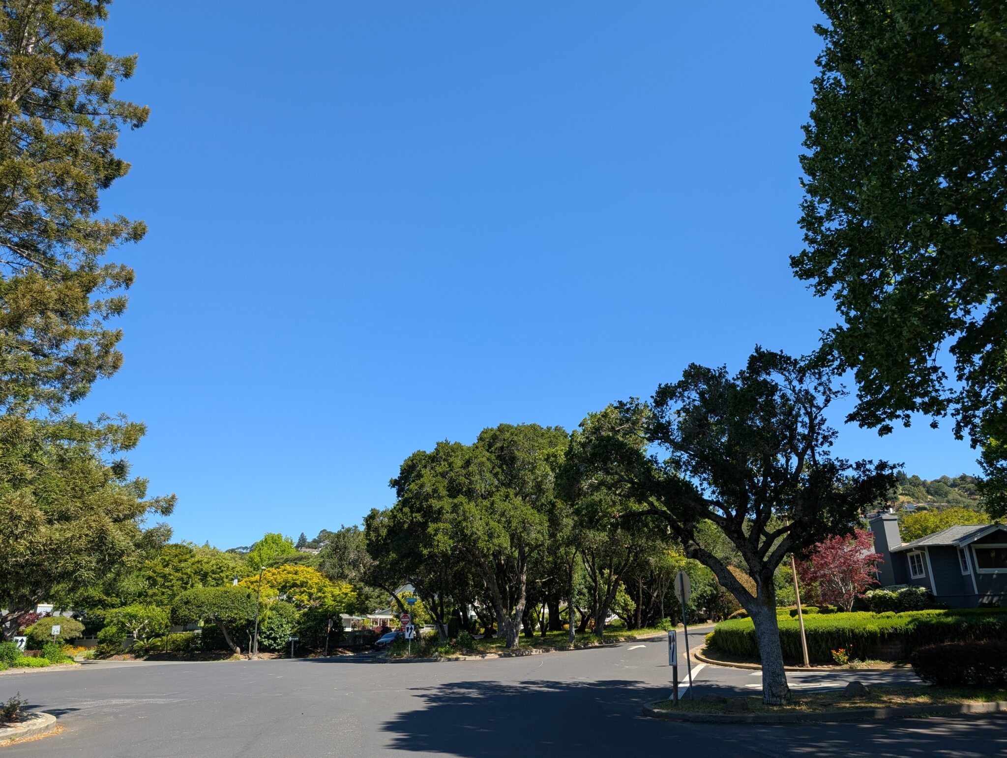 Visit Kentfield, Marin County, California – Marin County Visitor