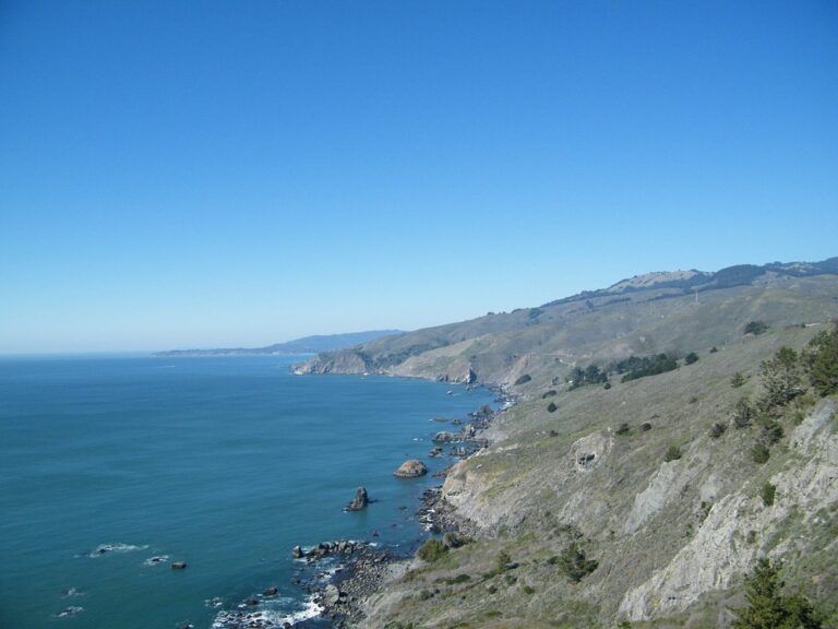 Muir Beach Travel Guide – Accessibility, Amenities, Activities, and ...
