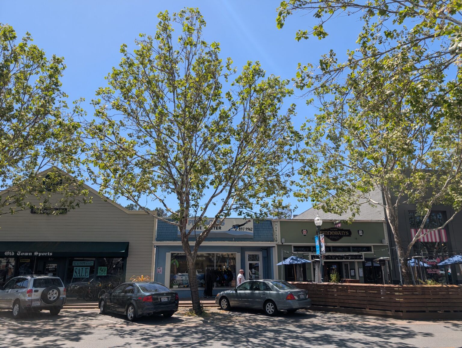 Visit Novato, Marin County, California – Marin County Visitor