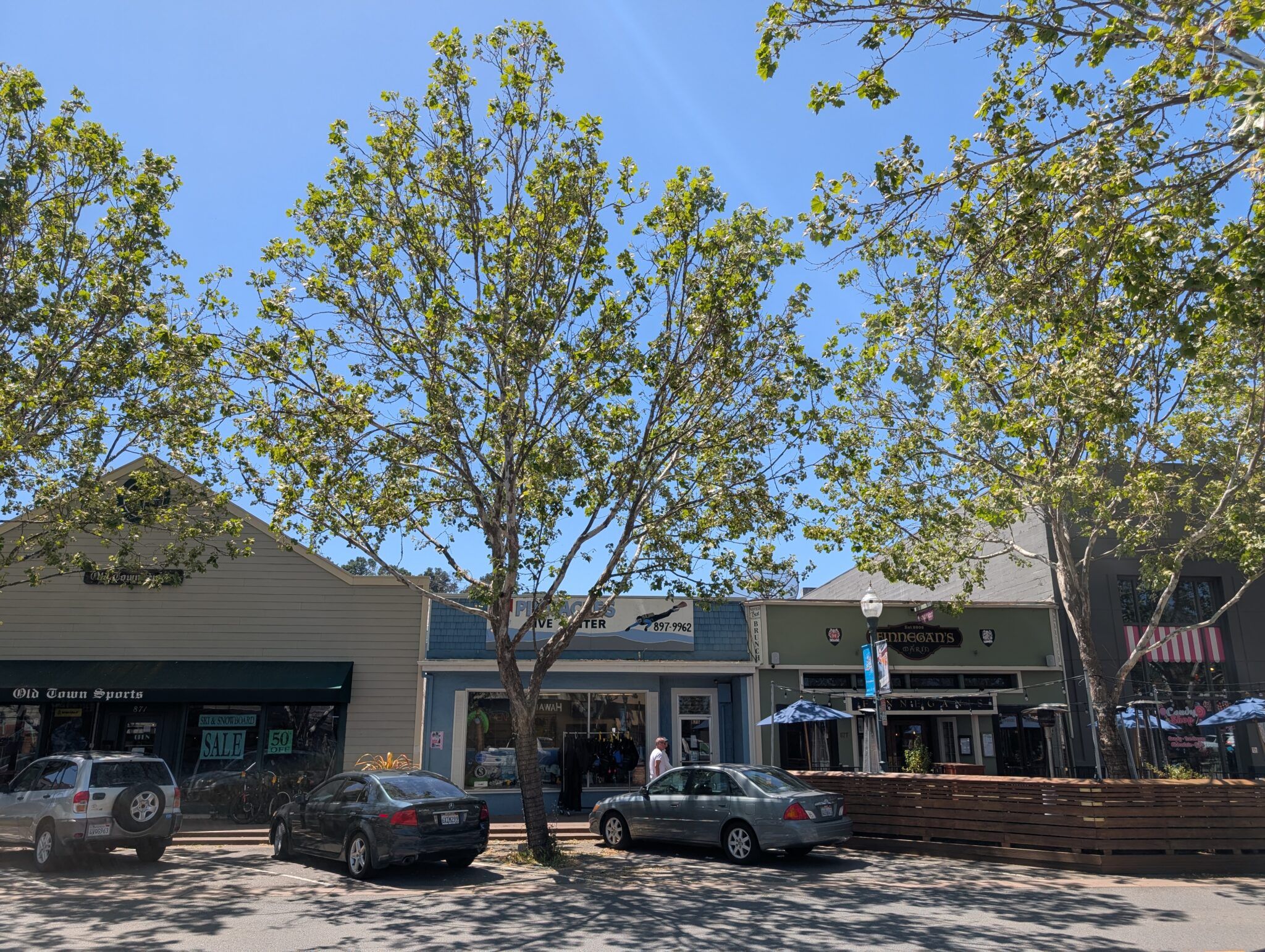 Visit Novato, Marin County, California – Marin County Visitor