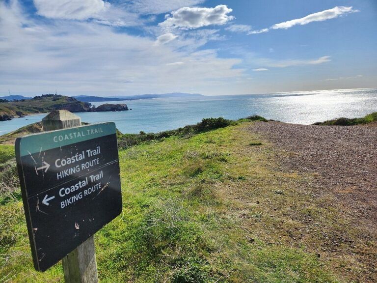 Rodeo Beach Travel Guide – Accessibility, Amenities, Activities, and ...