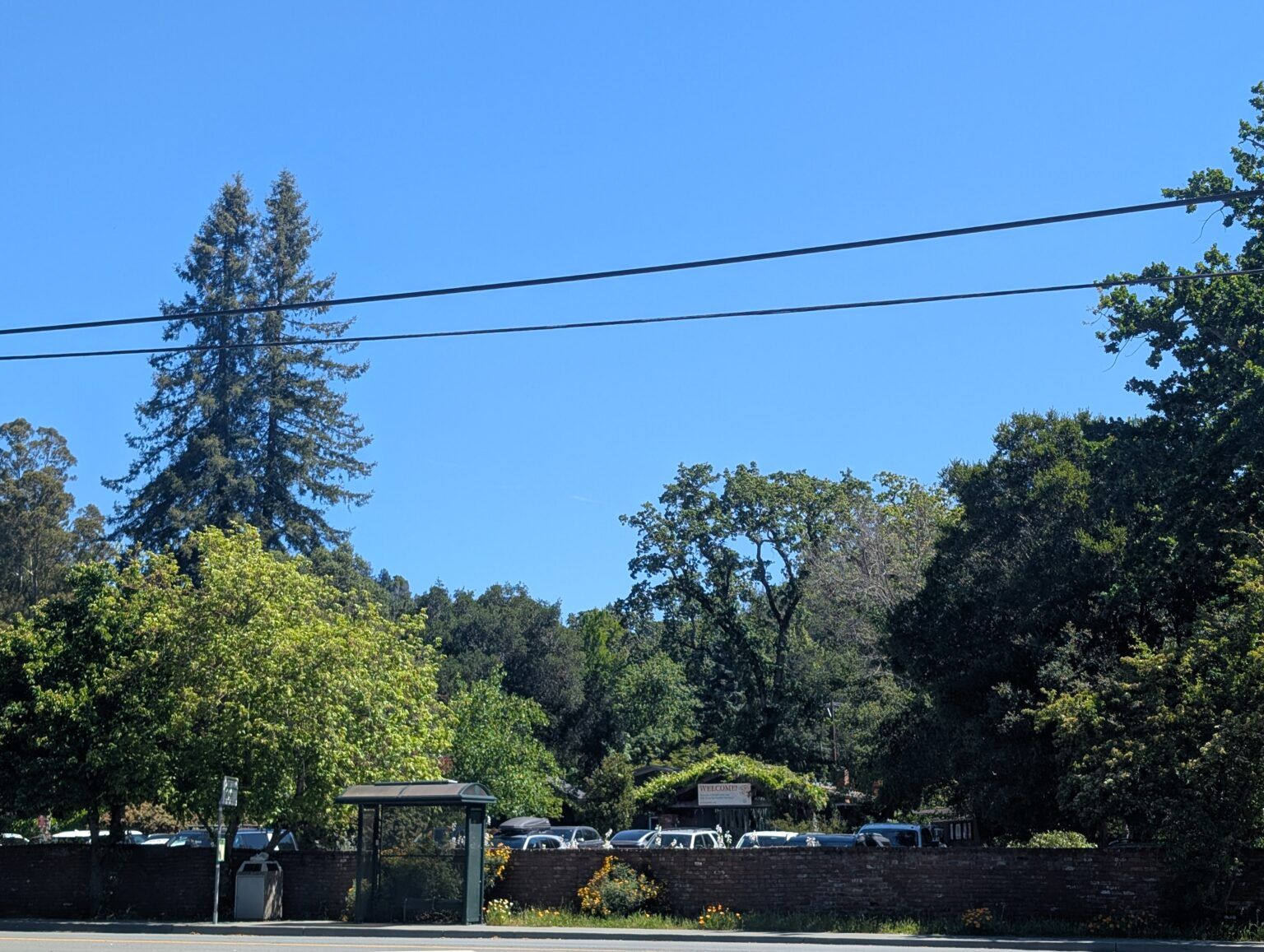 Visit Ross, Marin County, California – Marin County Visitor