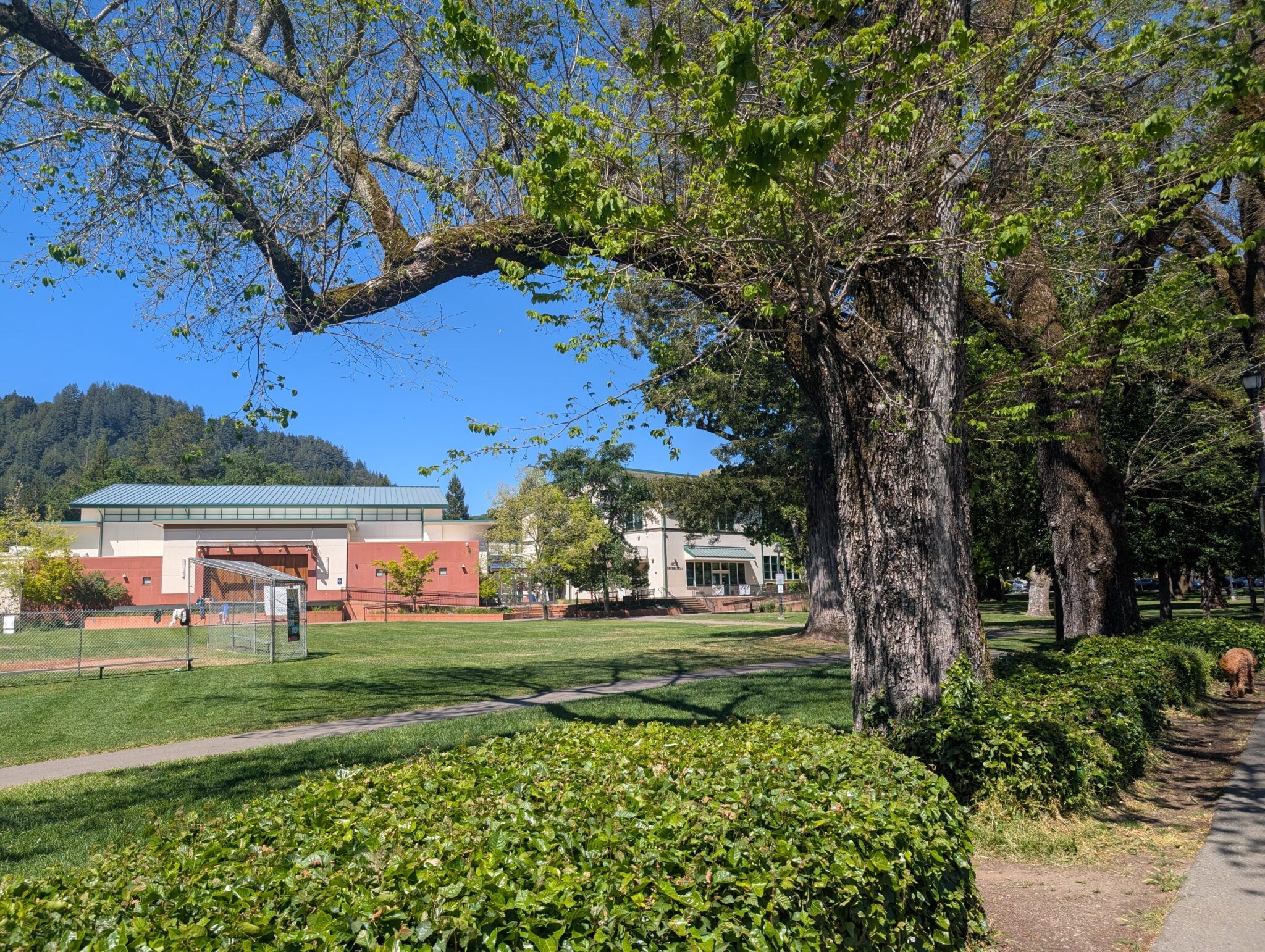 Visit Ross, Marin County, California – Marin County Visitor