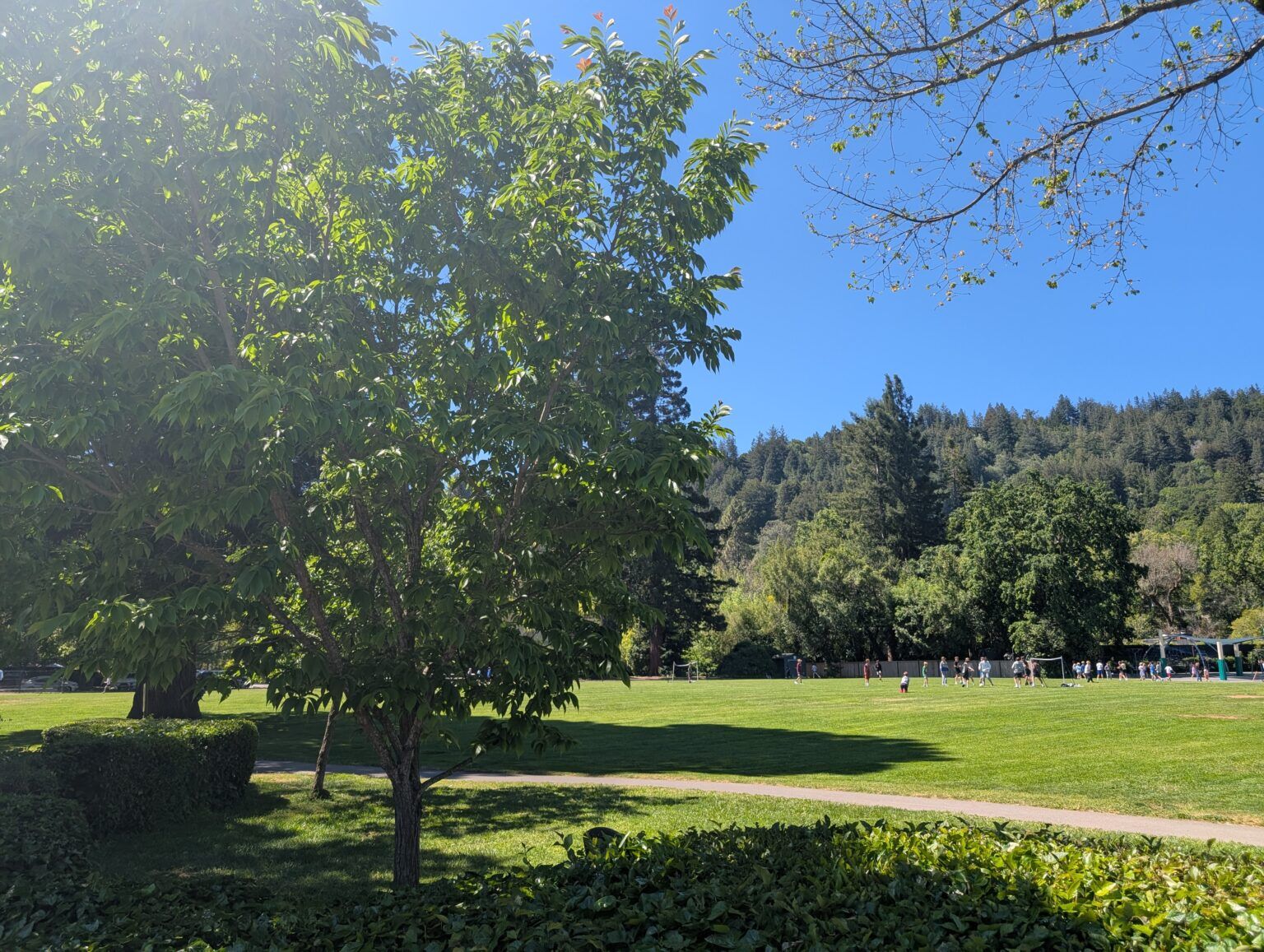 Visit Ross, Marin County, California – Marin County Visitor