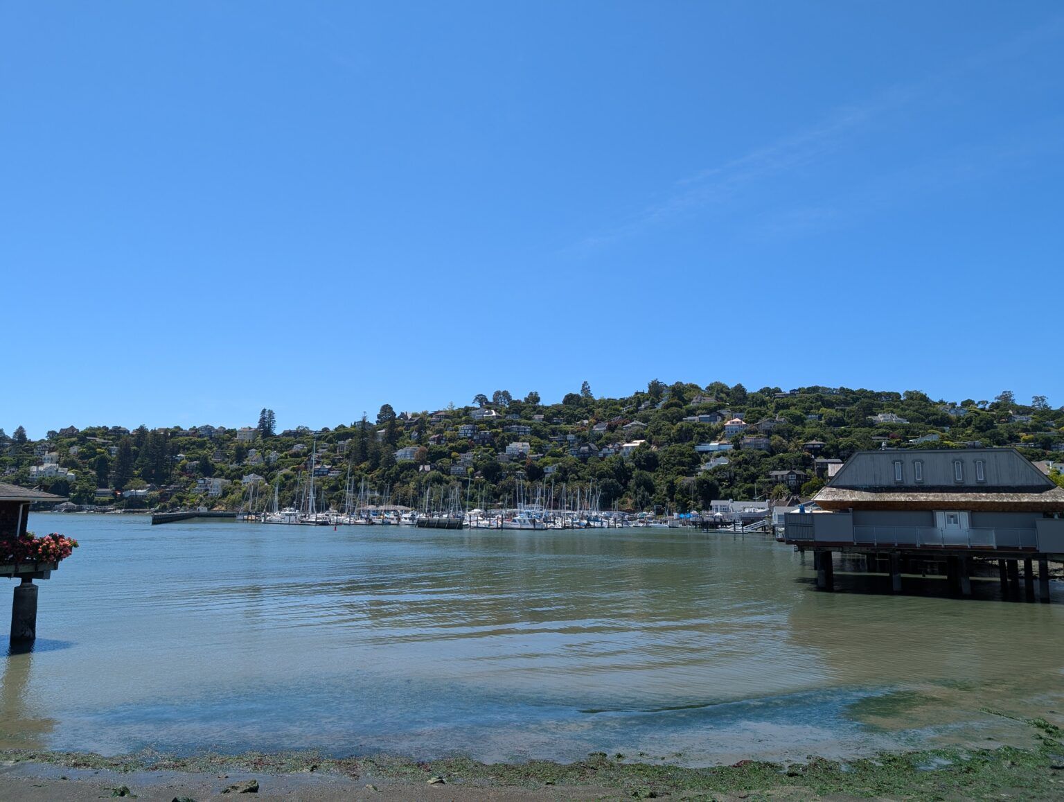 Visit Tiburon & Belvedere, Marin County, California – Marin County Visitor